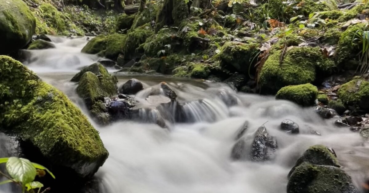 Randonnée Gérardmer - Saut de la Bourrique | Outtrip